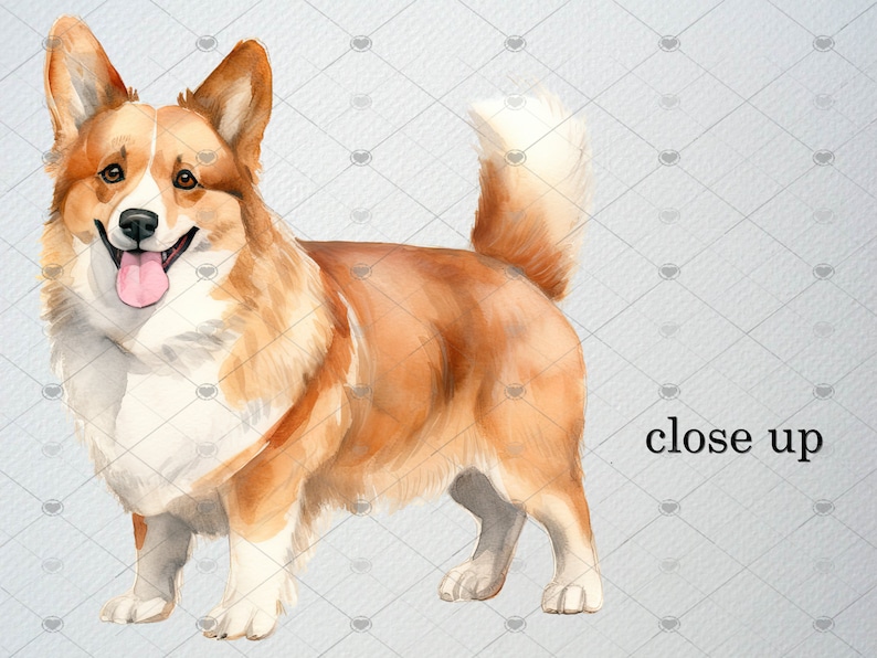 Watercolor Corgi Clipart Set of 46 PNG Files, Cute Dog Clipart, Pet ...