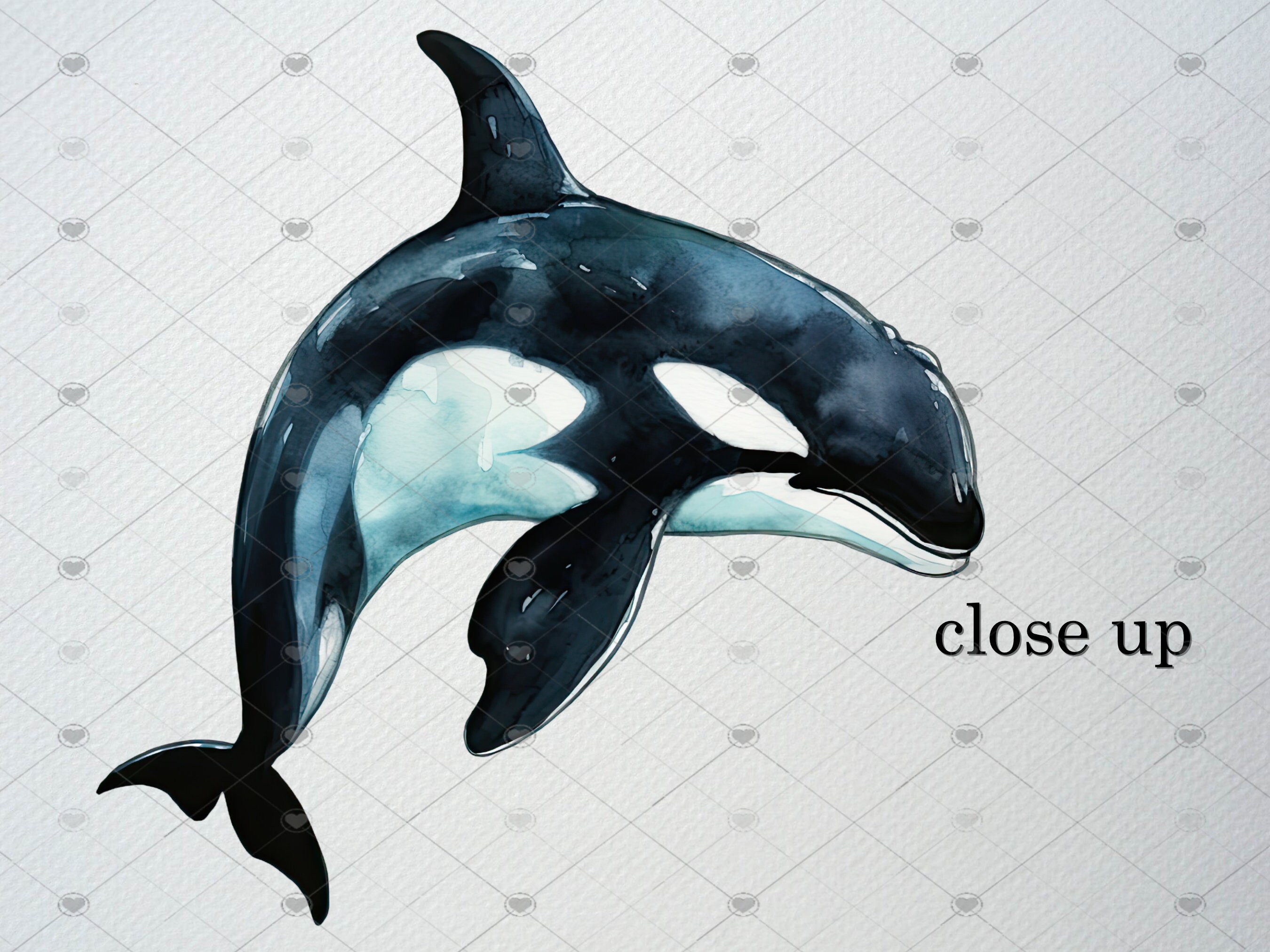 Watercolor Whale Clipart Set of 24 PNG Files, Sea Life Clipart ...