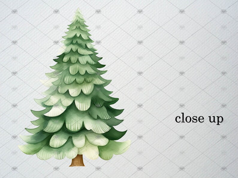 Watercolor Christmas Tree Clipart Set: 22 PNG Festive Designs ...