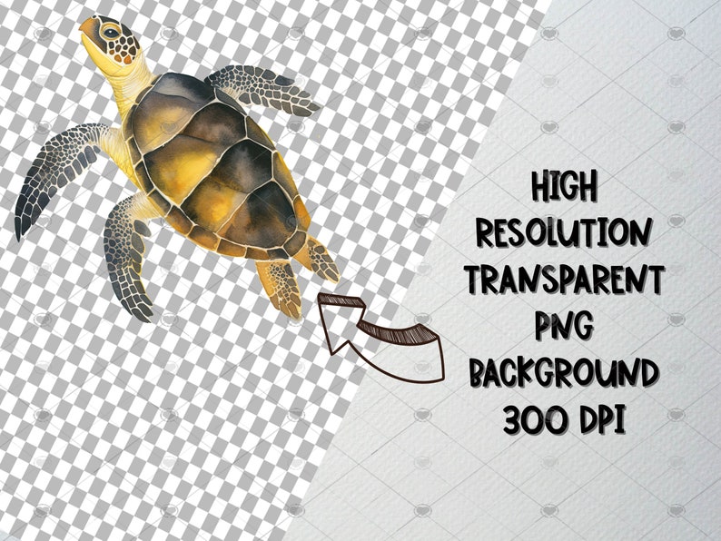 Watercolor Sea Turtle Clipart Set of 34 PNG Files, Underwater Animal ...