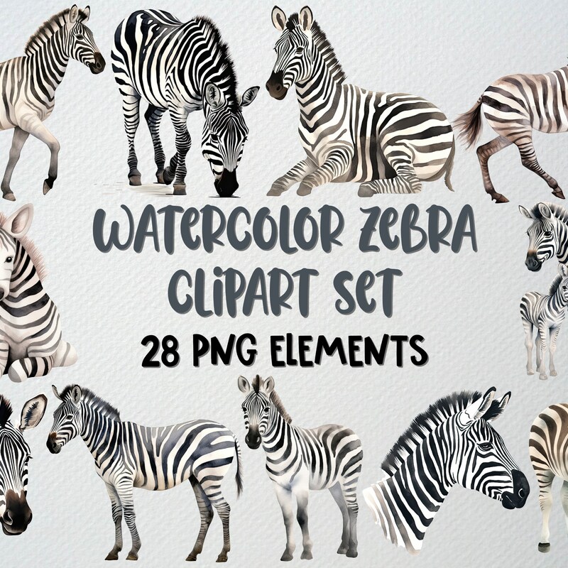Zebra Watercolor Set - Etsy
