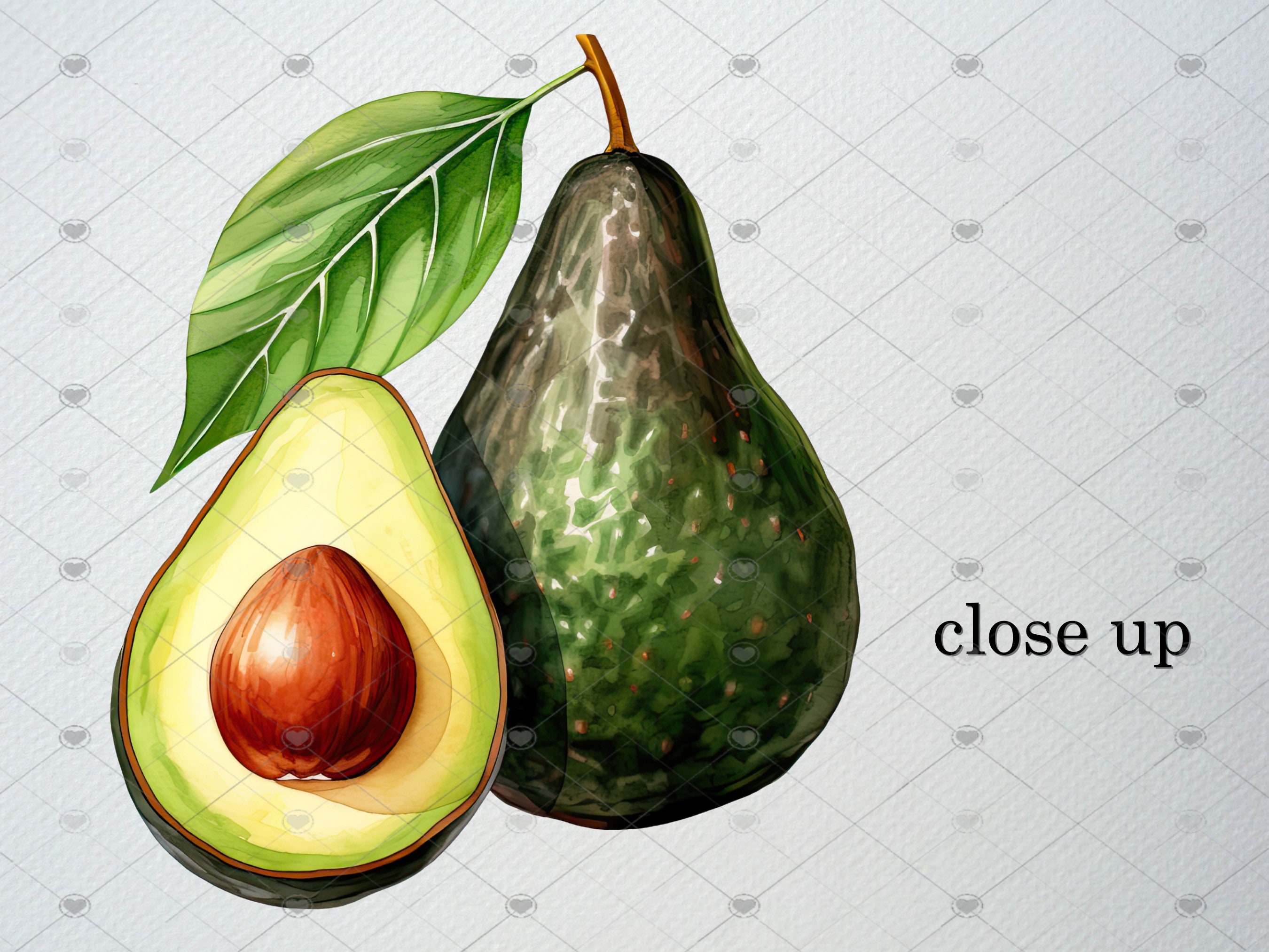 Watercolor Avocado Clipart Set of 30 PNG Files, Tropical Fruit Clipart ...