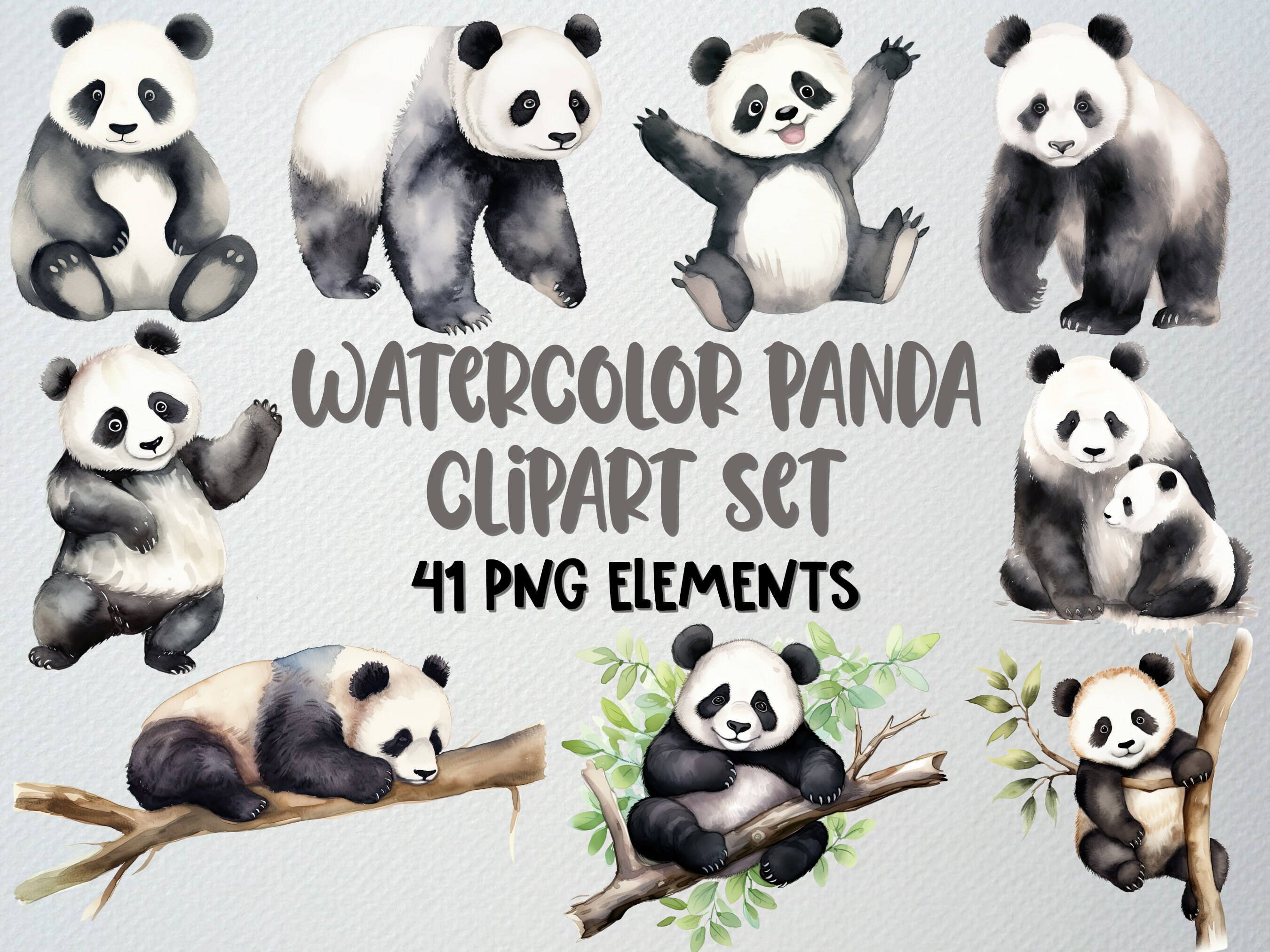 Watercolor Panda Clipart Set of 41 PNG Files, Cute Panda Clipart, Baby ...
