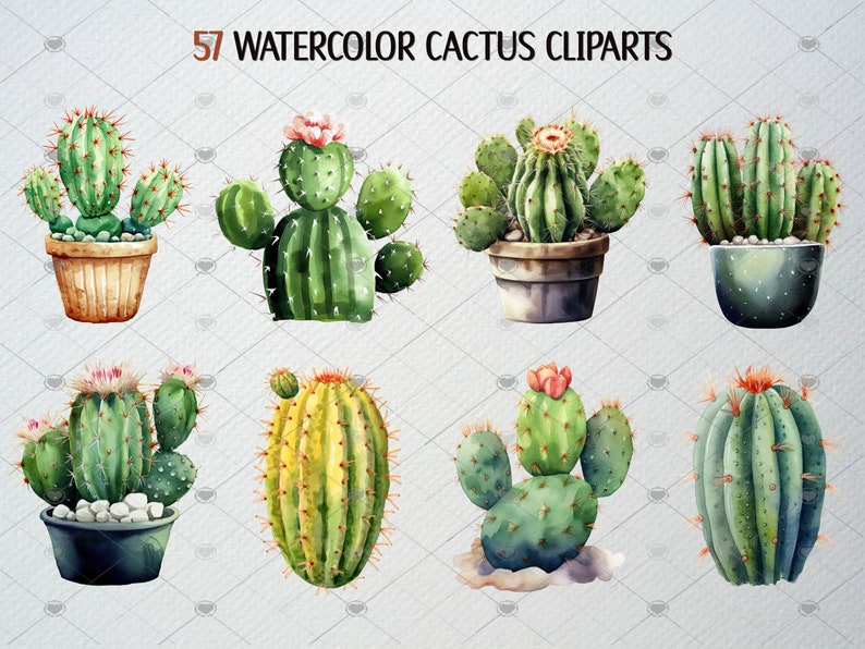 Cactus Clipart Set of 65 PNG Files, Watercolor Cactus Clip Art ...