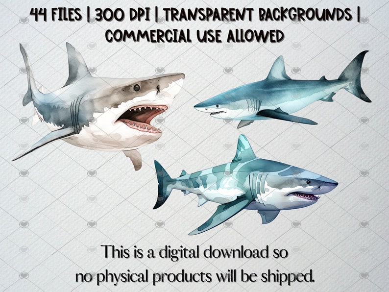 Watercolor Shark Clipart Set: 44 Sea Life PNG Files (commercial License ...