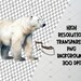 Watercolor Polar Bear Clipart Set of 20 PNG Files, Winter Animals ...