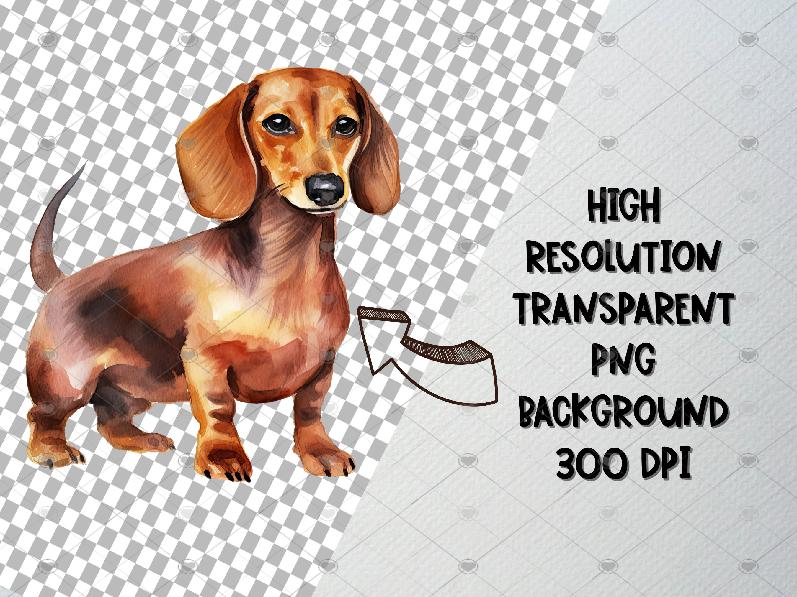 Watercolor Dachshund Clipart Set of 22 PNG Files, Dachshund ...