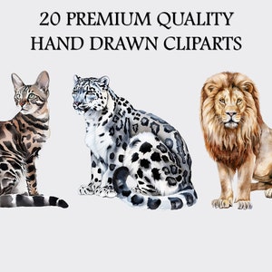 Watercolor Wild Cats Clipart Set of 20 PNG Files, Animal Clipart ...