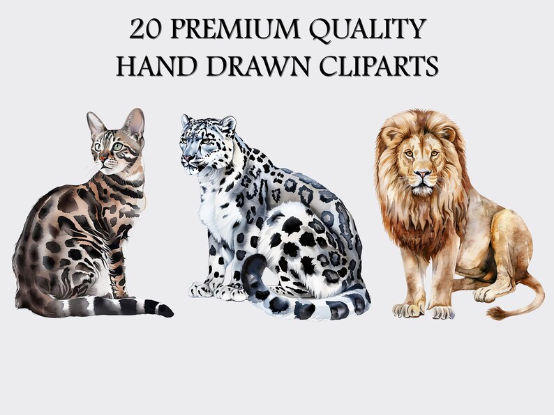 Watercolor Wild Cats Clipart Set of 20 PNG Files, Animal Clipart ...