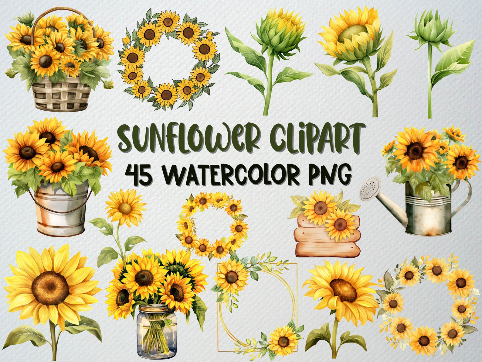 Watercolor Sunflower Clipart Set of 45 PNG Files, Floral Clipart ...