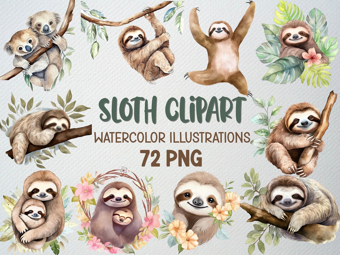 Watercolor Sloth Clipart Set: 72 PNG Jungle Animal Illustrations ...