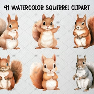 Watercolor Squirrel Clipart Set of 41 PNG Files, Woodland Animals ...
