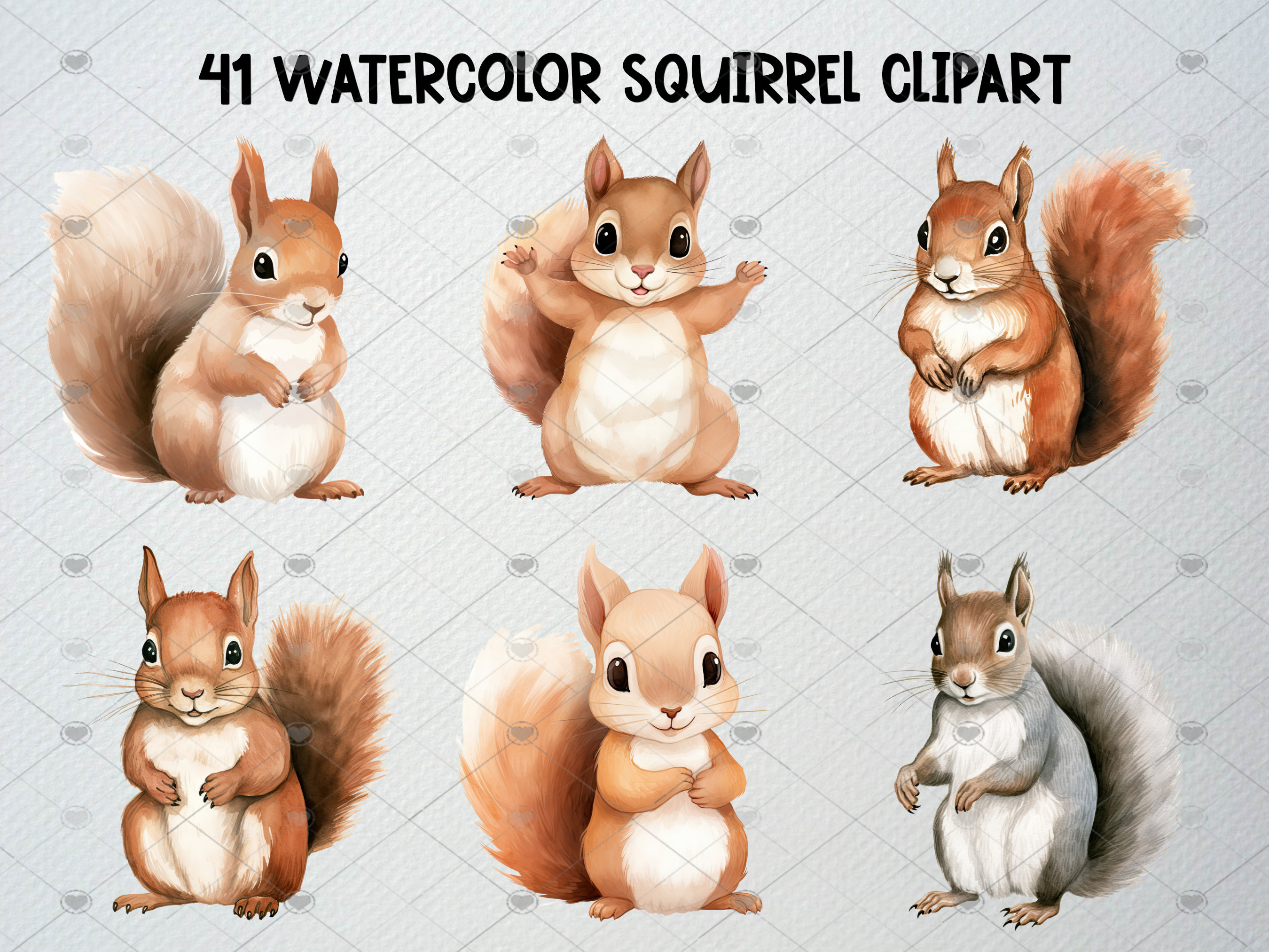 Watercolor Squirrel Clipart Set of 41 PNG Files, Woodland Animals ...