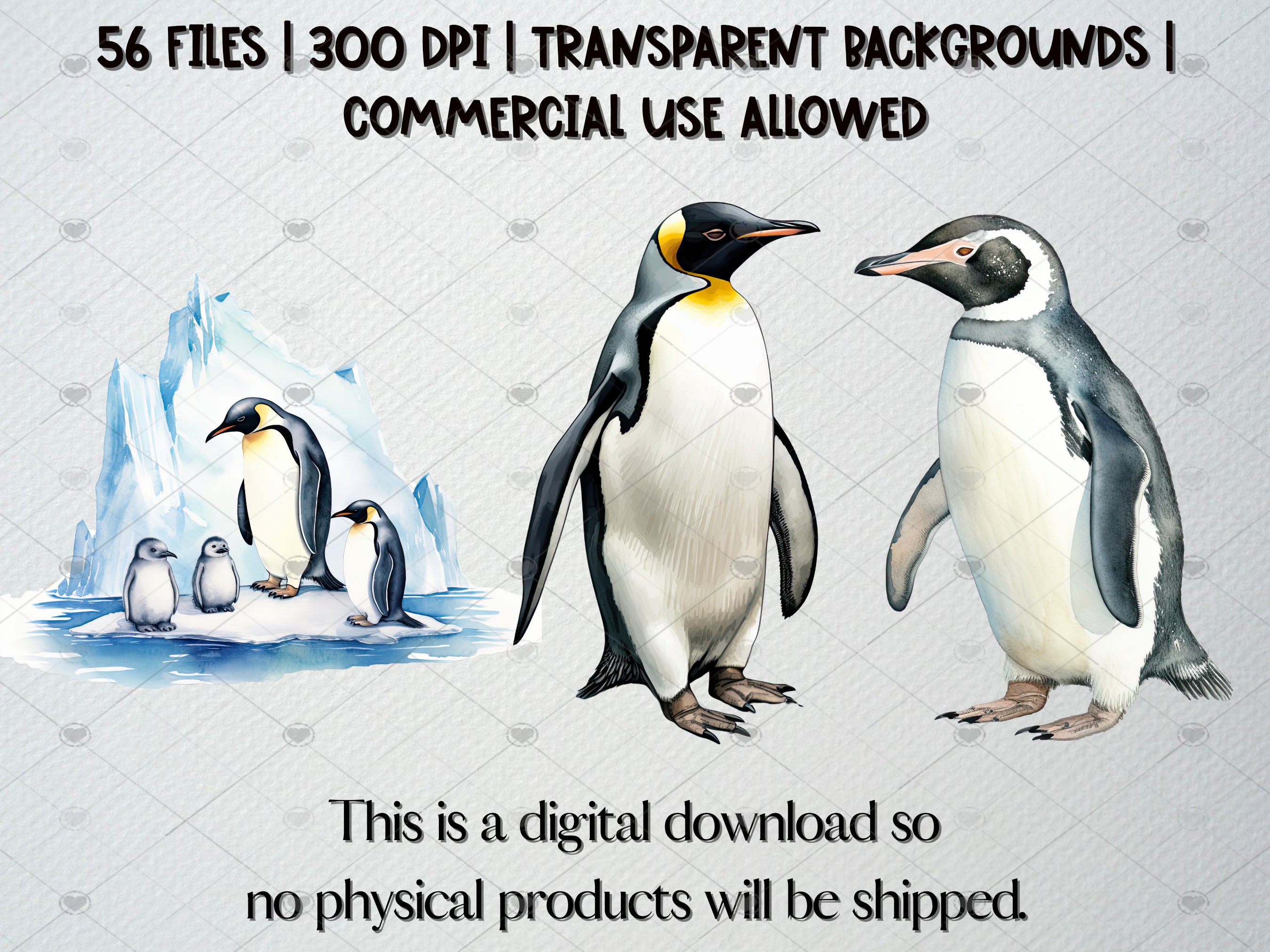 Watercolor Penguin Clipart Set: 56 PNG Files, Commercial License ...