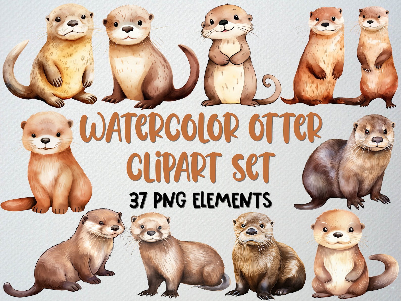 Watercolor Otter Clipart Set of 37 PNG, Cute Otter Clipart, Sea Otter ...