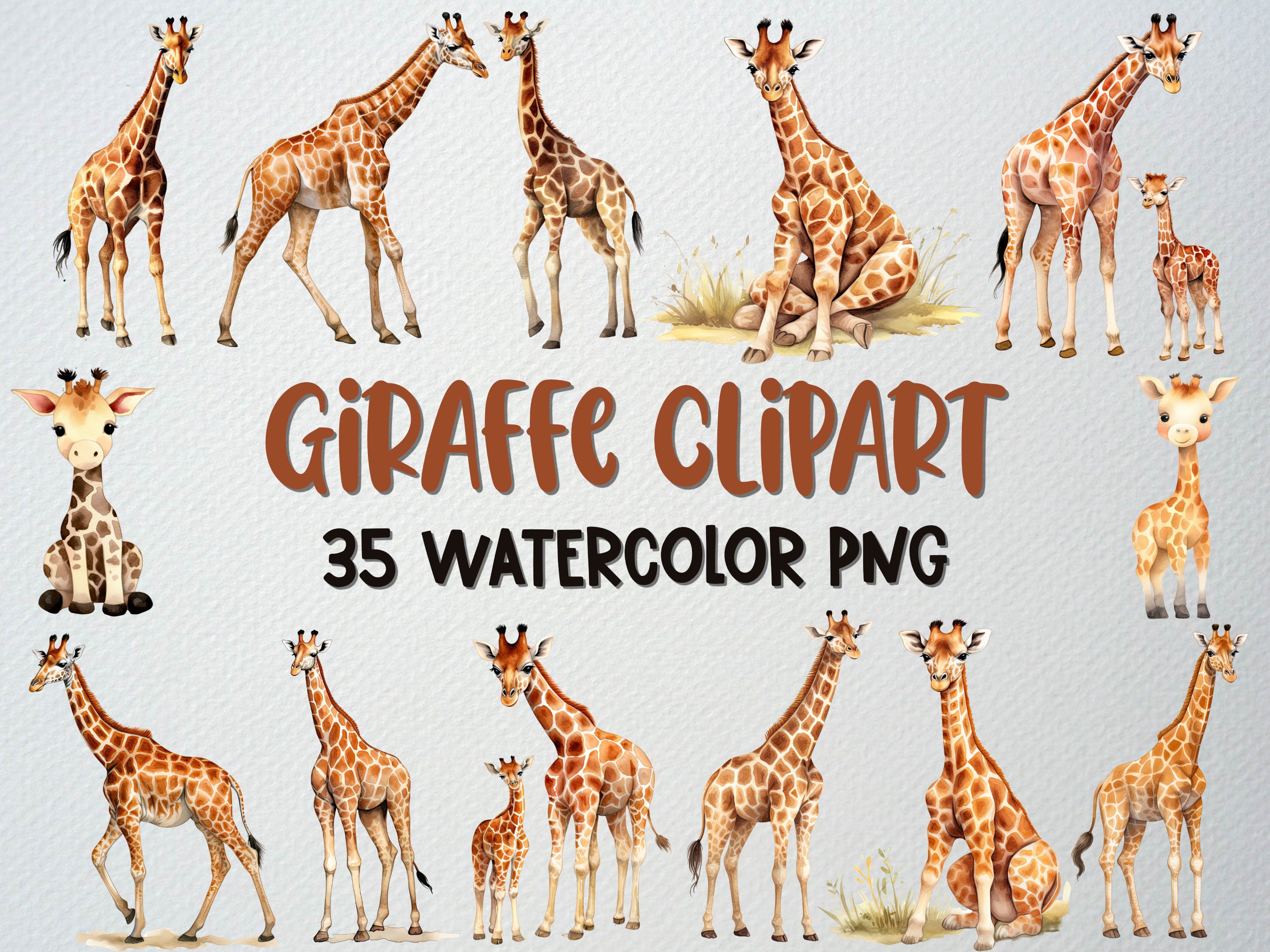 Watercolor Giraffe Clipart Set of 35 PNG Files, Baby Giraffe Clipart ...