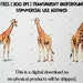 Watercolor Giraffe Clipart Set of 35 PNG Files, Baby Giraffe Clipart ...