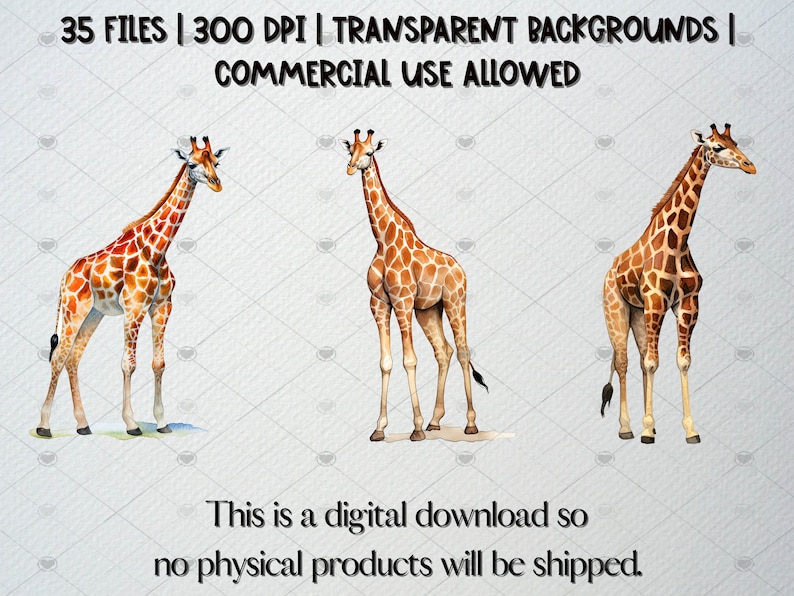 Watercolor Giraffe Clipart Set of 35 PNG Files, Baby Giraffe Clipart ...