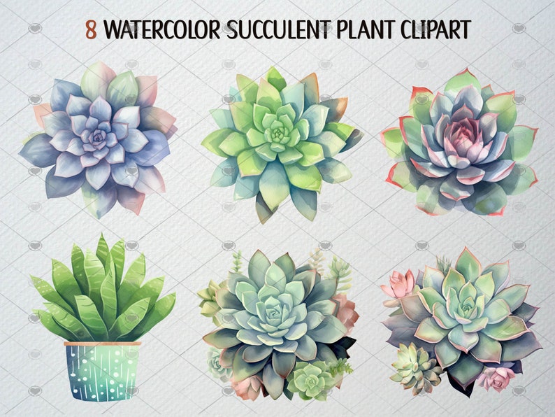 Cactus Clipart Set of 65 PNG Files, Watercolor Cactus Clip Art ...