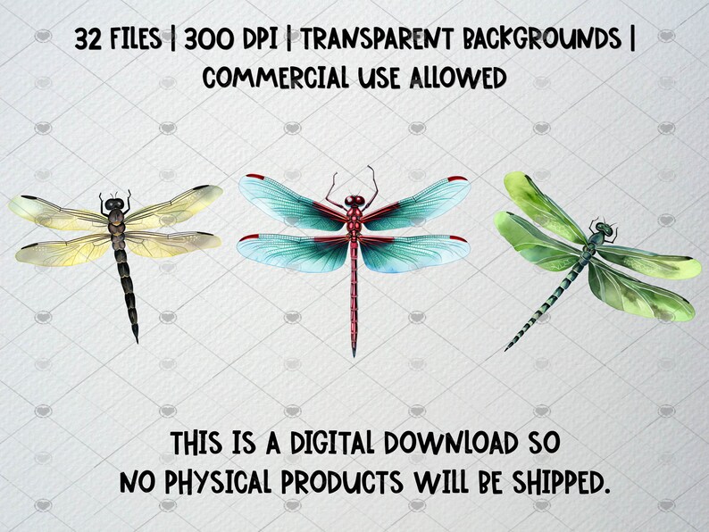 Watercolor Dragonfly Clipart Set of 32 PNG Files, Insect Clipart ...