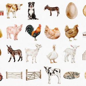 Watercolor Farm Animals Clipart Set, 44 Pngs, Cow Pig Horse Chicken ...