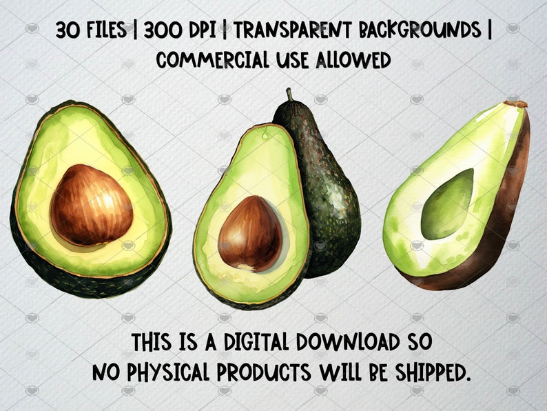 Watercolor Avocado Clipart Set of 30 PNG Files, Tropical Fruit Clipart ...