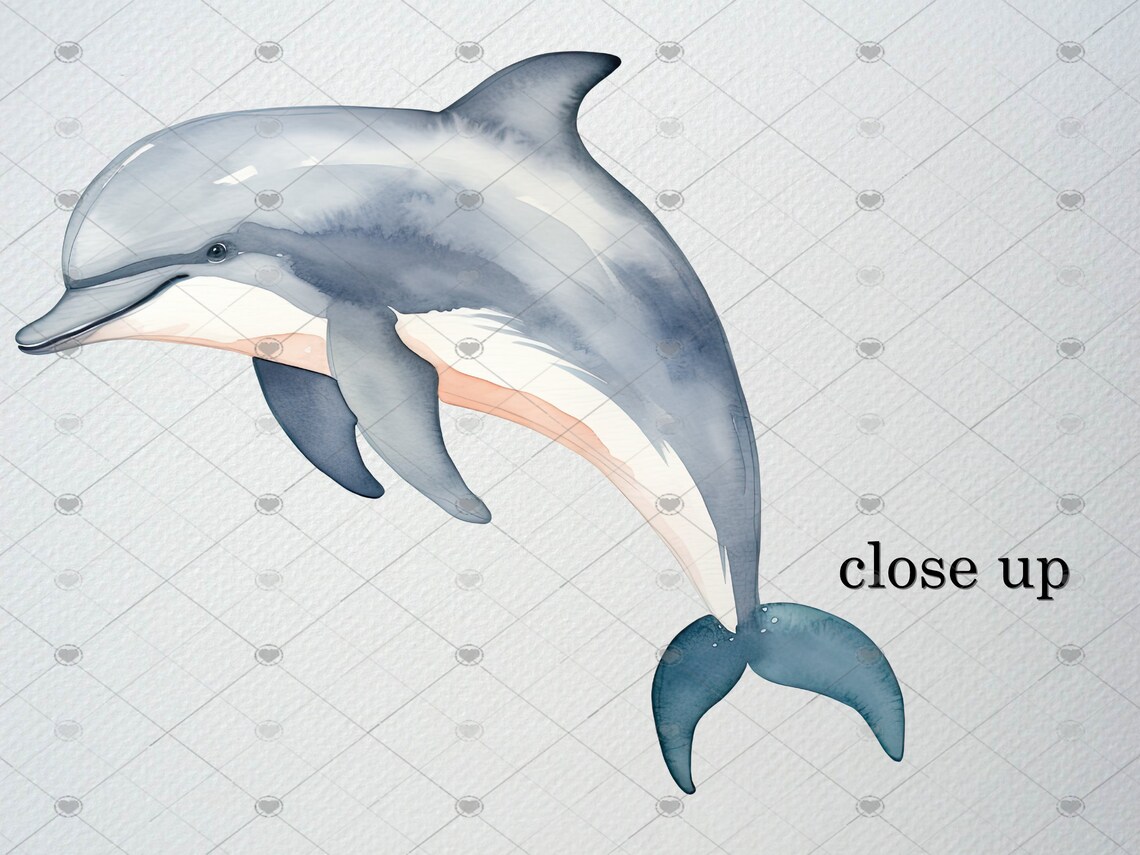 Watercolor Dolphin Clipart Set of 45 PNG Files, Ocean Animal Clipart ...
