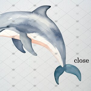 Watercolor Dolphin Clipart Set of 45 PNG Files, Ocean Animal Clipart ...
