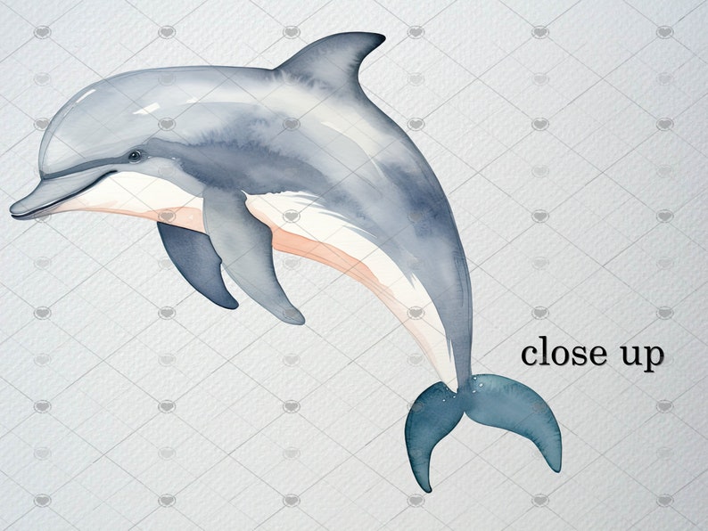 Watercolor Dolphin Clipart Set of 45 PNG Files, Ocean Animal Clipart ...