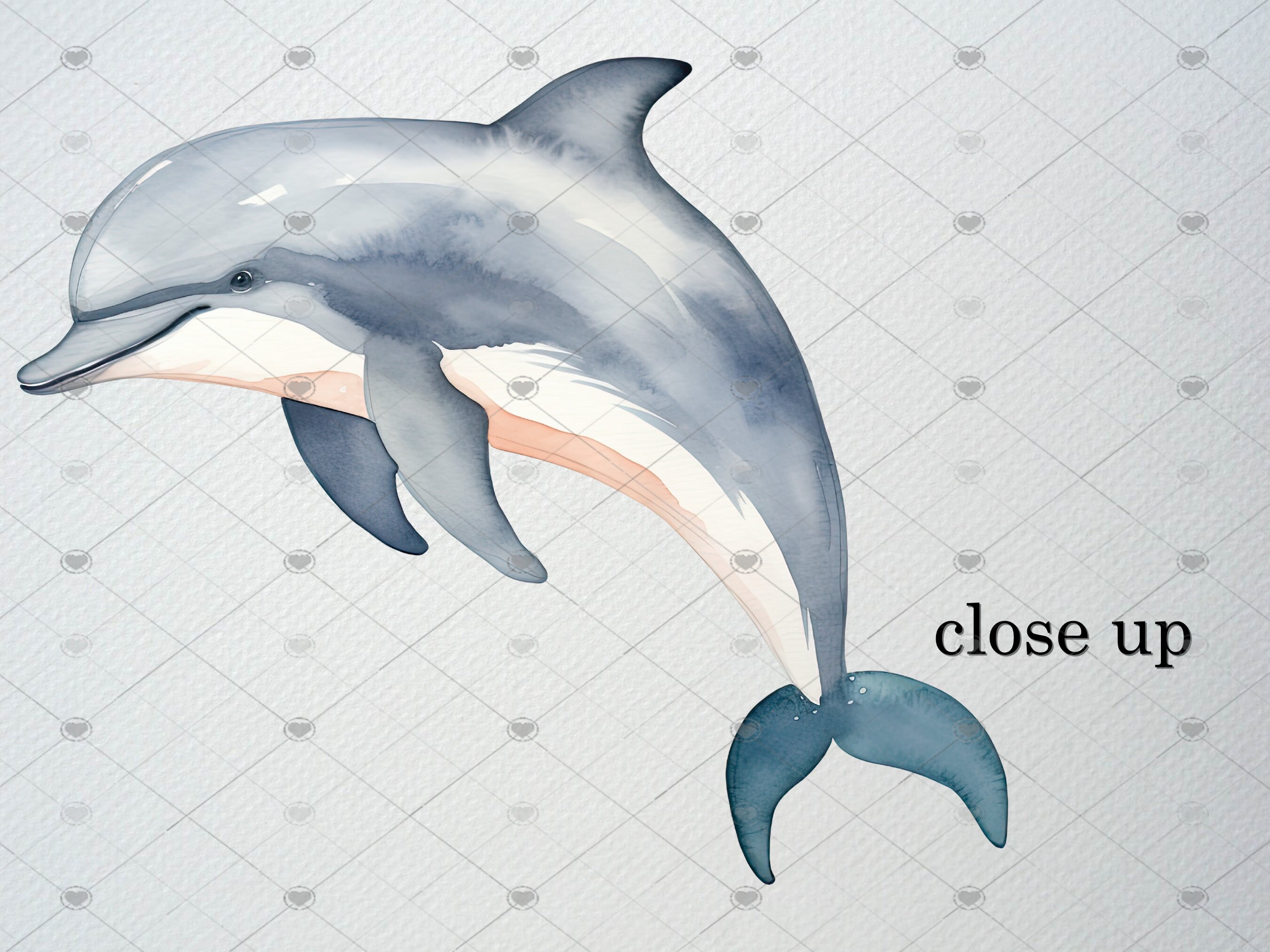 Watercolor Dolphin Clipart Set of 45 PNG Files, Ocean Animal Clipart ...