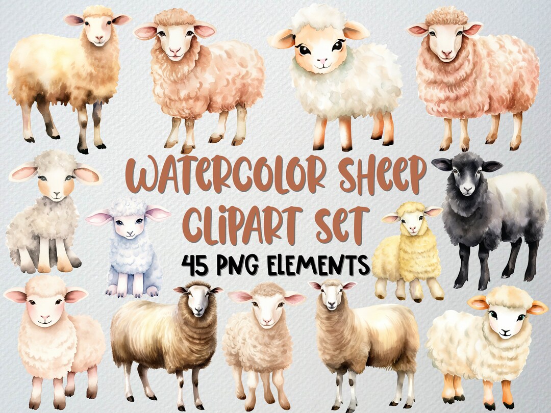Watercolor Sheep Clipart Set of 45 PNG Files, Lamb Clipart, Sheep ...
