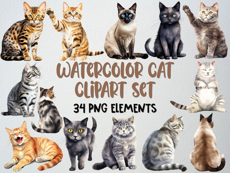 Watercolor Cat Clipart Set of 34 PNG Files, Kitten Clipart, Feline ...