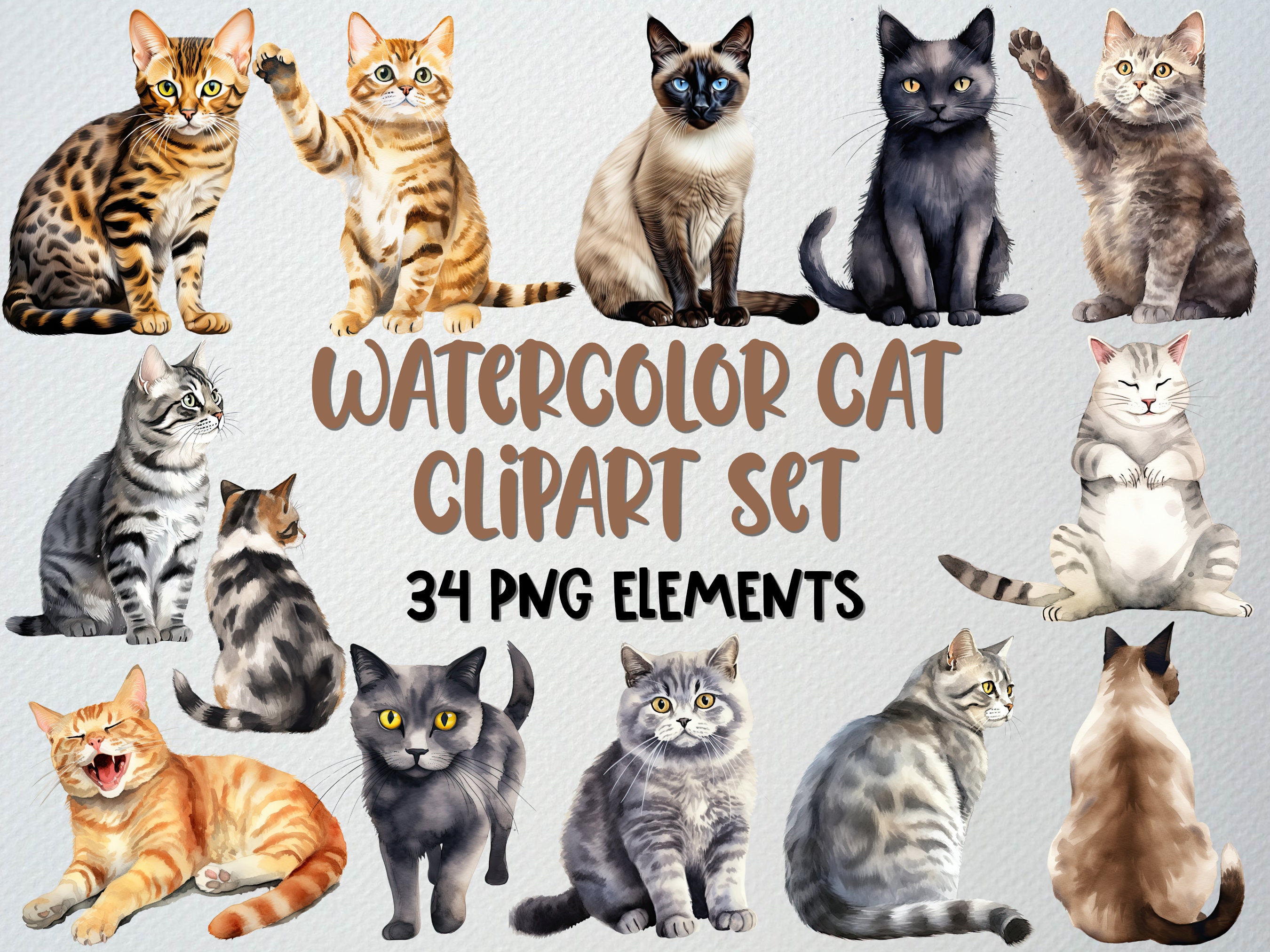 Watercolor Cat Clipart Set of 34 PNG Files, Kitten Clipart, Feline ...