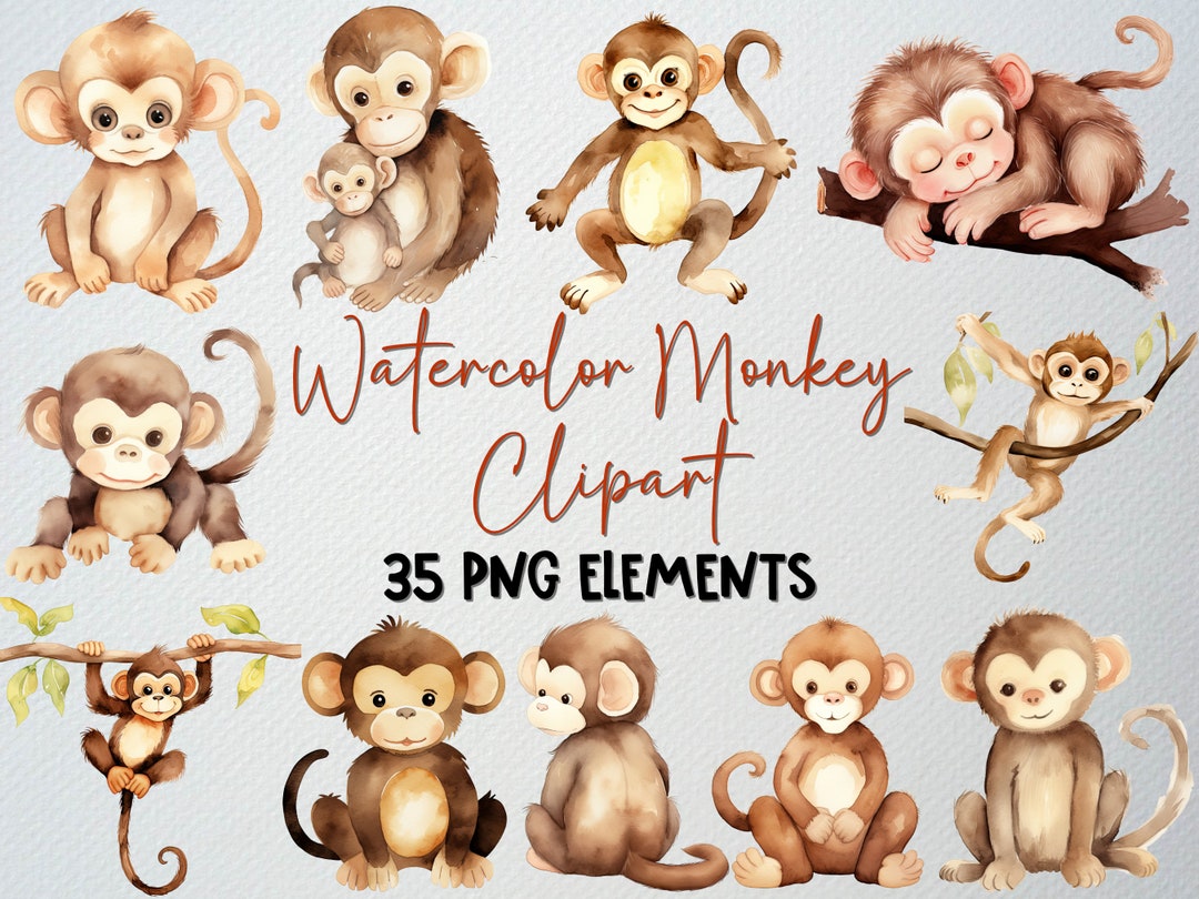 Watercolor Monkey Clipart Set of 35 PNG Files, Cute Monkey Clipart, Zoo ...
