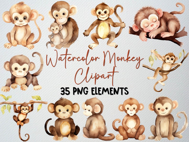 Watercolor Monkey Clipart Set of 35 PNG Files, Cute Monkey Clipart, Zoo ...