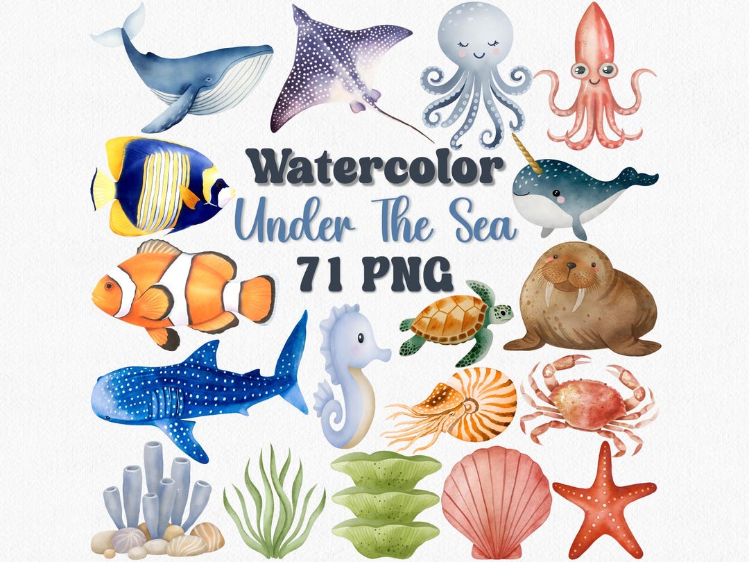 Watercolor Sea Creatures Clipart: 71 PNG Ocean Graphics (digital ...