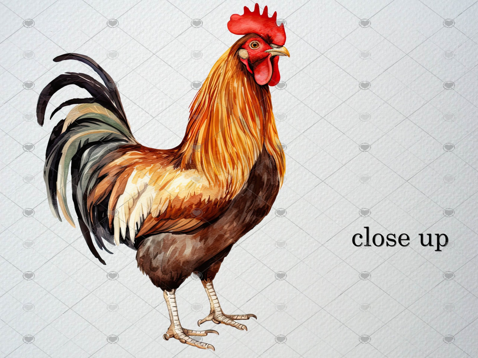 Watercolor Chicken Clipart Set of 42 PNG Files, Rooster Clipart, Hen ...