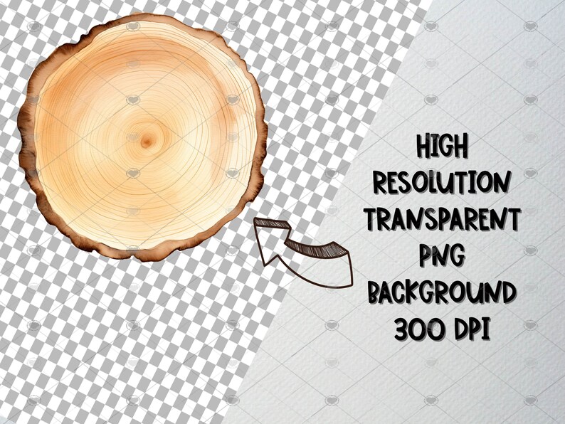 Watercolor Wooden Slices Clipart Set of 27 PNG Files, Floral Wood ...