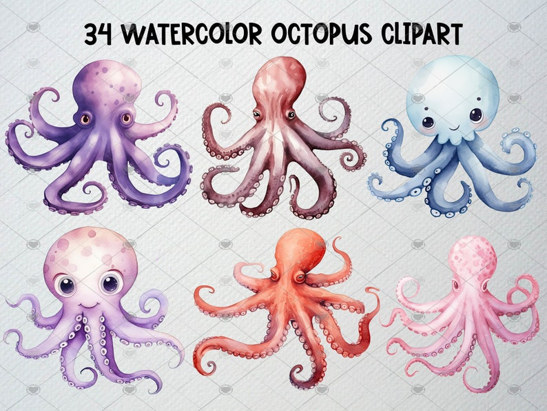 Watercolor Octopus Clipart Set of 34 PNG Files, Sea Animals Clipart ...