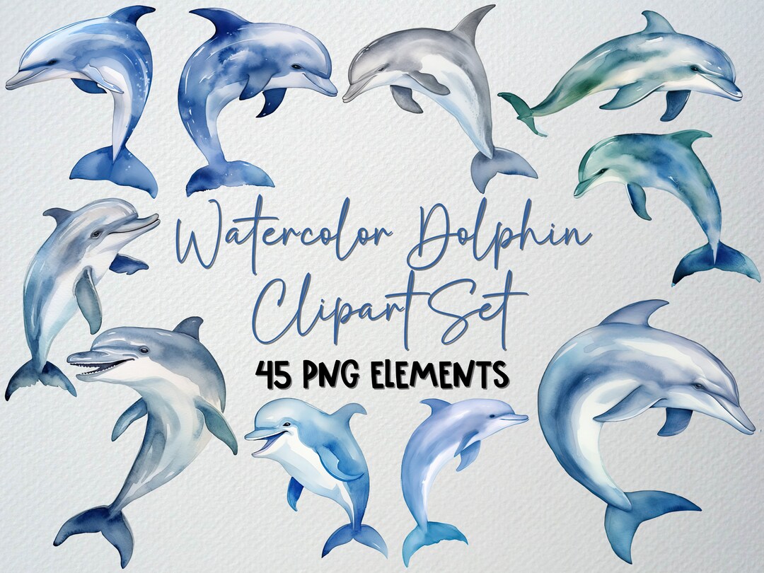Watercolor Dolphin Clipart Set of 45 PNG Files, Ocean Animal Clipart ...