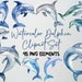 Watercolor Dolphin Clipart Set of 45 PNG Files, Ocean Animal Clipart ...