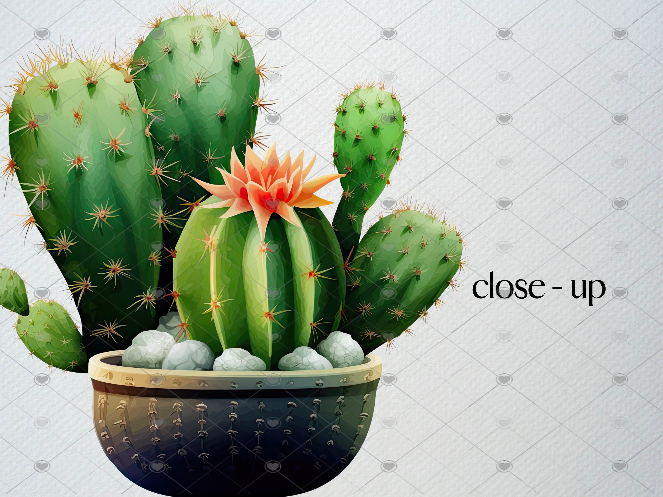 Cactus Clipart Set of 65 PNG Files, Watercolor Cactus Clip Art ...