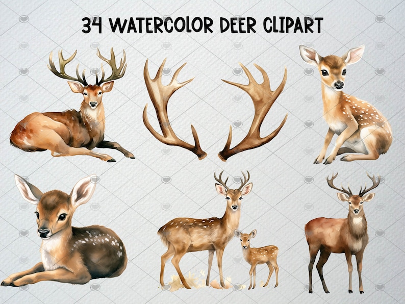 Watercolor Deer Clipart Set of 34 PNG Files, Baby Deer Clipart, Deer ...