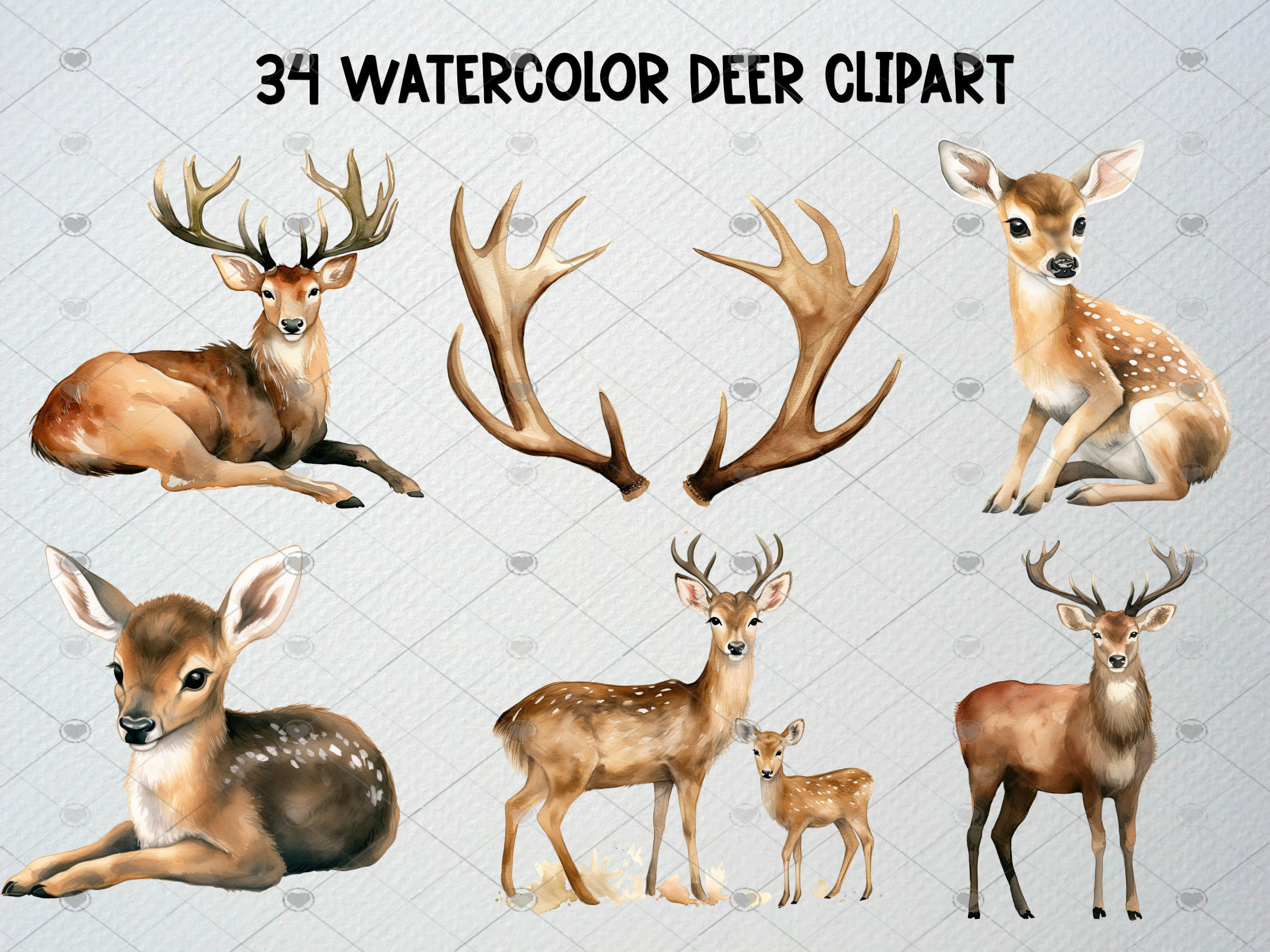 Watercolor Deer Clipart Set of 34 PNG Files, Baby Deer Clipart, Deer ...