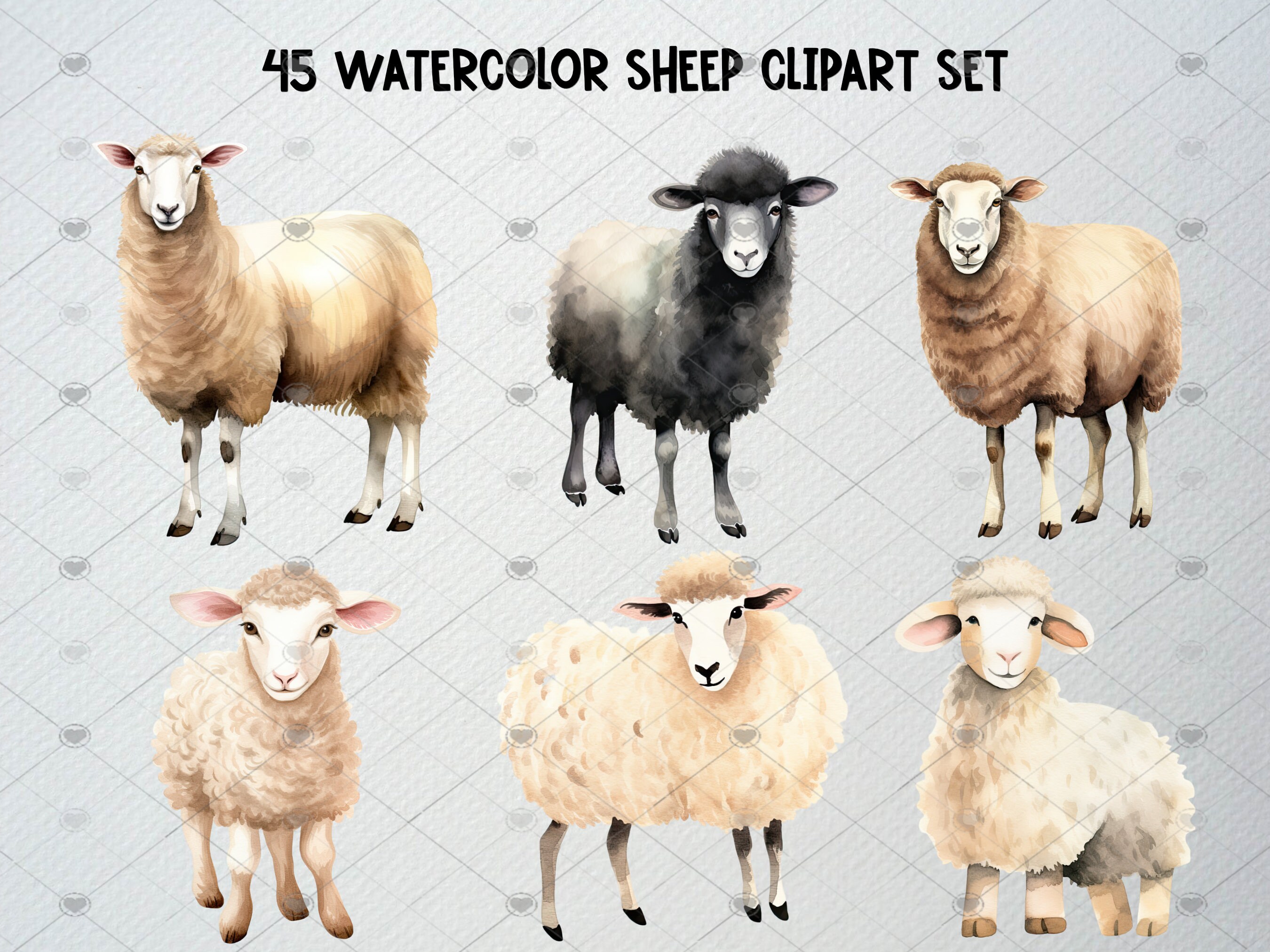 Watercolor Sheep Clipart Set of 45 PNG Files, Lamb Clipart, Sheep ...
