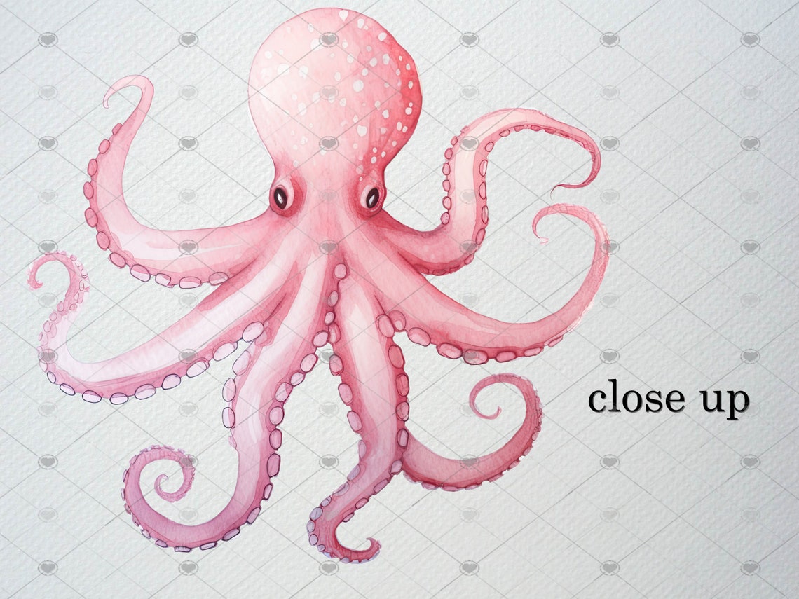 Watercolor Octopus Clipart Set of 34 PNG Files, Sea Animals Clipart ...