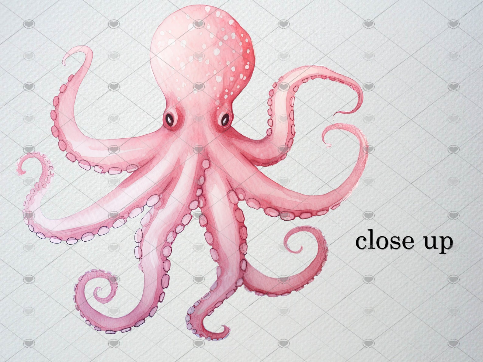 Watercolor Octopus Clipart Set of 34 PNG Files, Sea Animals Clipart ...
