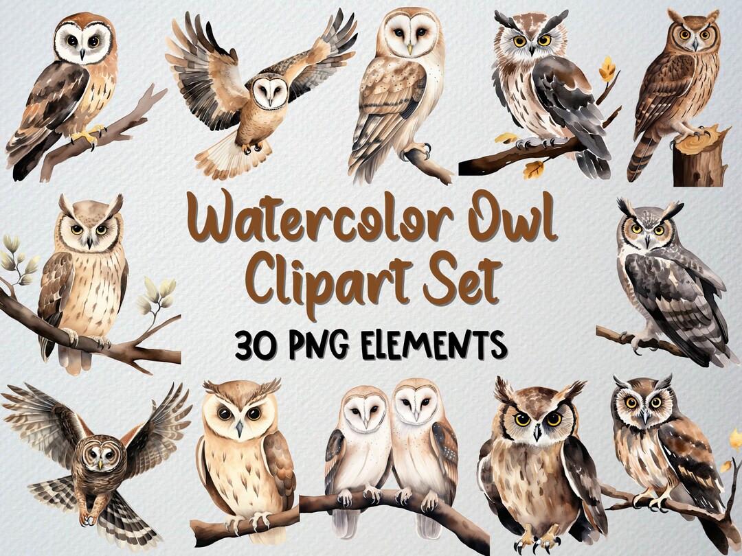 Watercolor Owl Clipart Set of 30 PNG Files, Bird Clipart, Owl ...