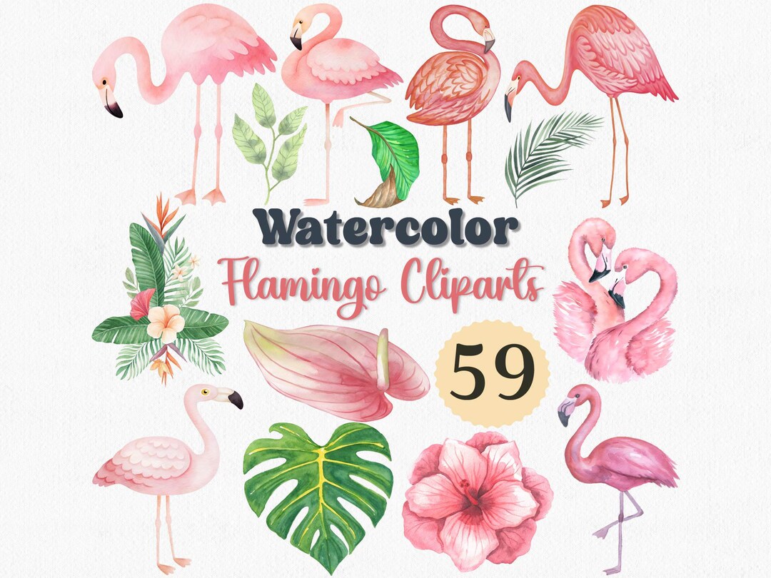 Watercolor Flamingo Clipart Set – 59 PNG Files, Pink Flamingo PNG ...