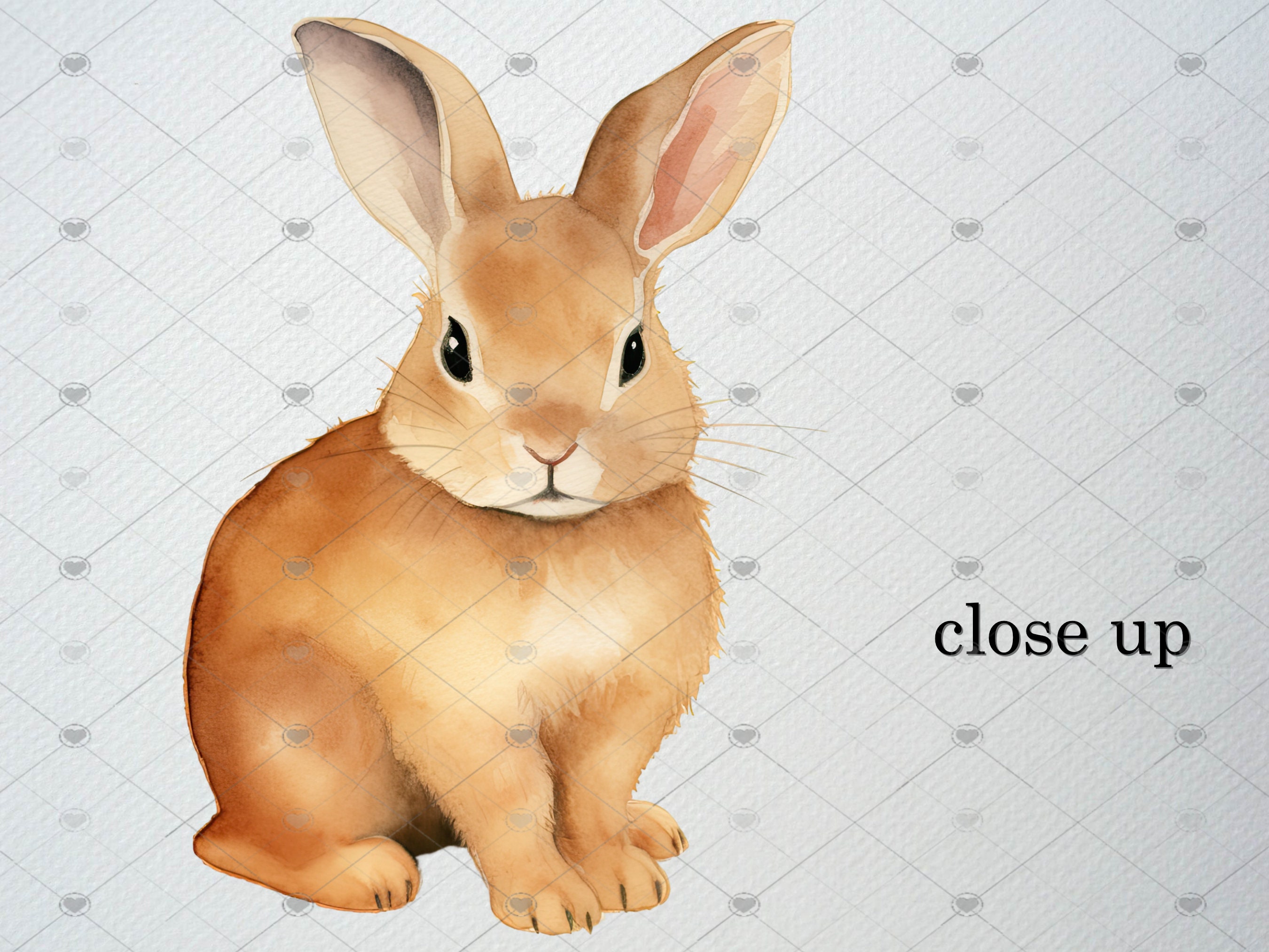 Watercolor Bunny Clipart Set of 28 PNG Files, Rabbit Clipart, Cute ...